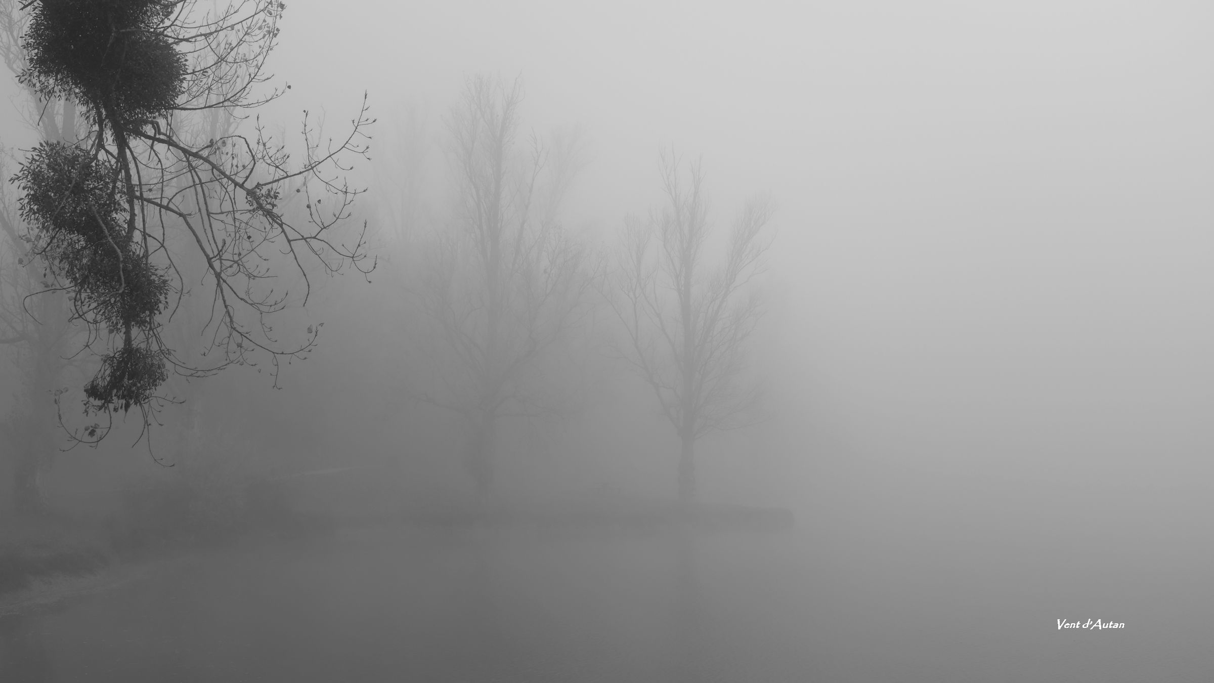 Chant de brume – ESPRIT D'AUTAN